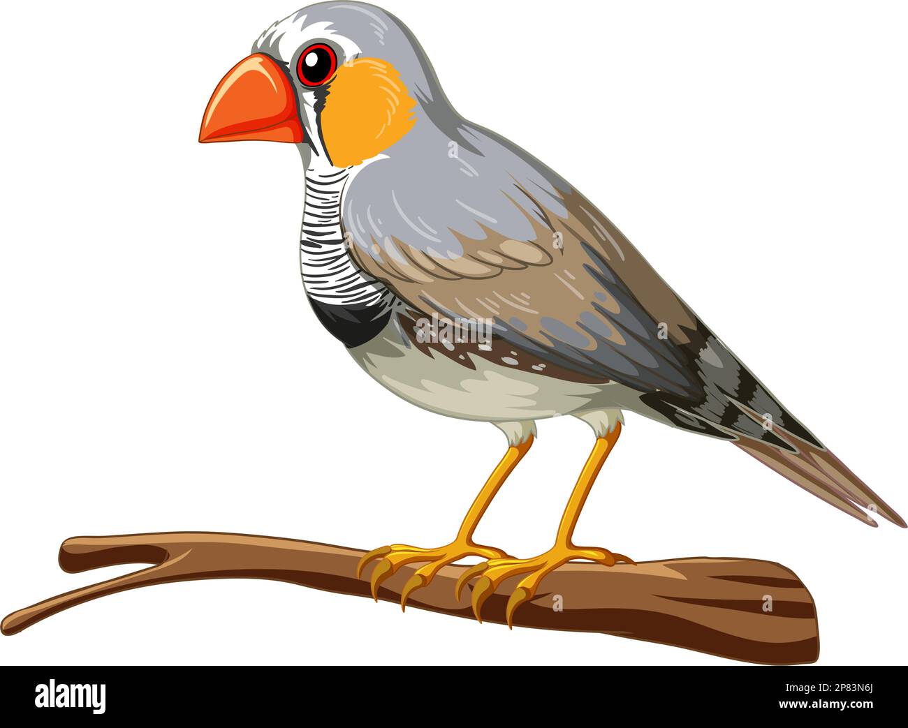 The zebra finch bird standing on the white background illustration ...