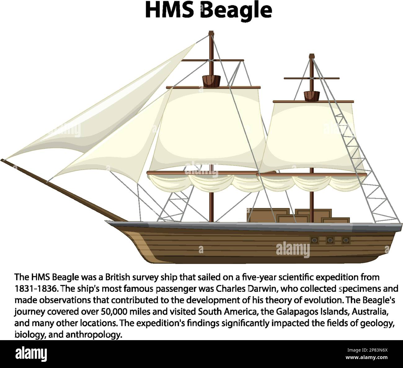 HMS Beagle ship informative poster illustration Stock Vector Image ...