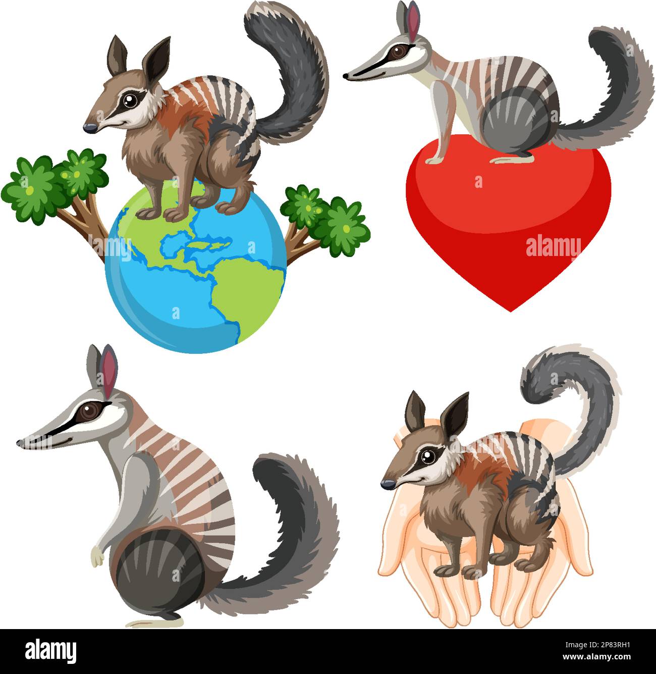 Set of numbat cartoon character illustration Stock Vector Image & Art ...