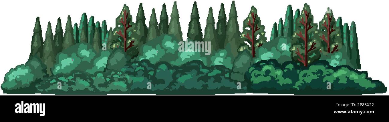 Coniferous forest on white background illustration Stock Vector Image ...