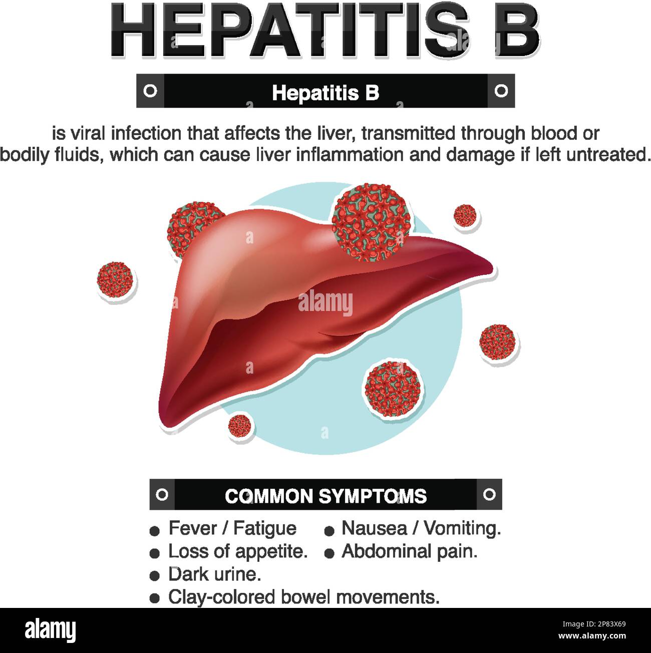 Hepatitis B Causes