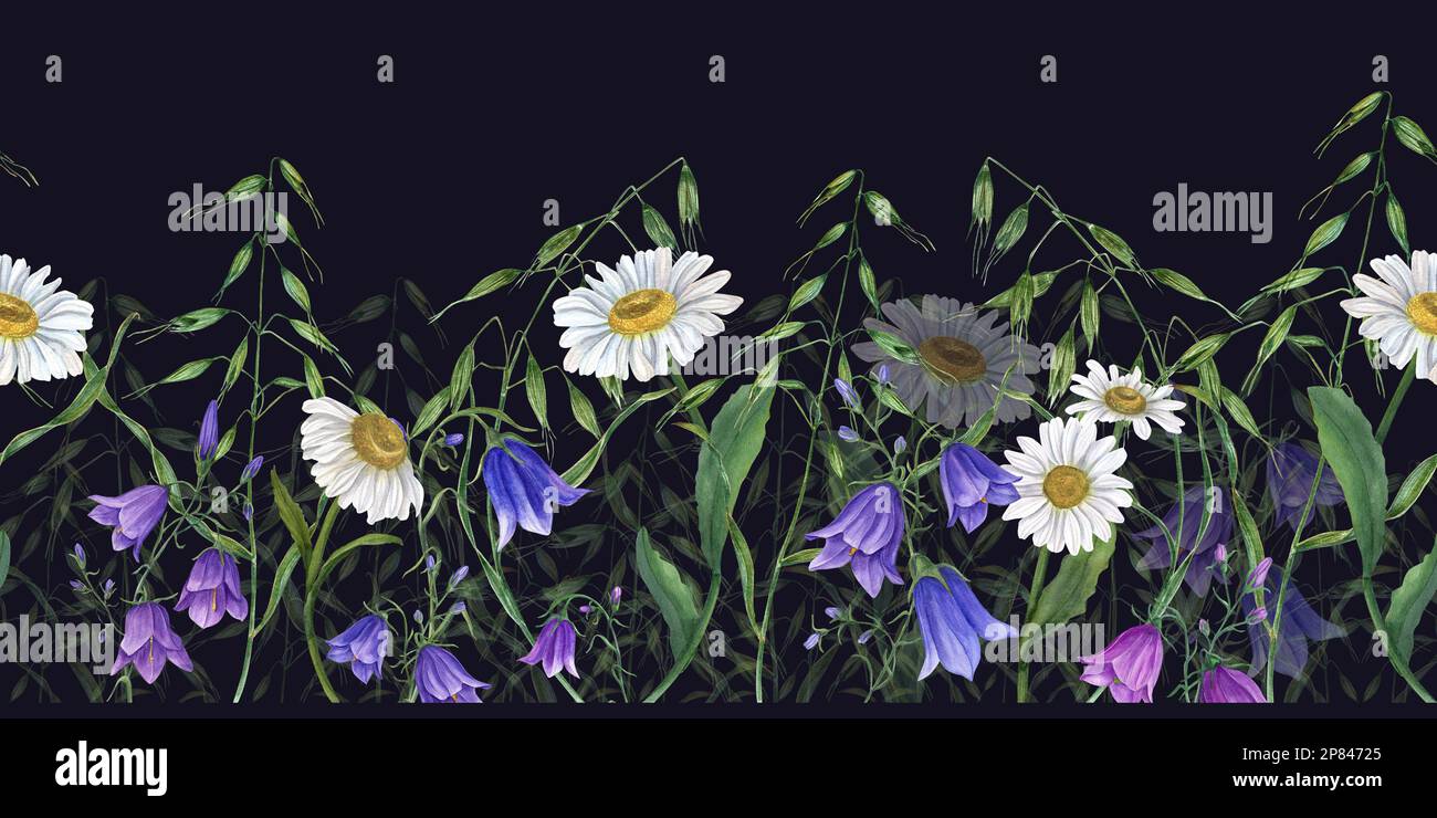 Floral seamless horizontal border with campanula, daisy. wild oats ...