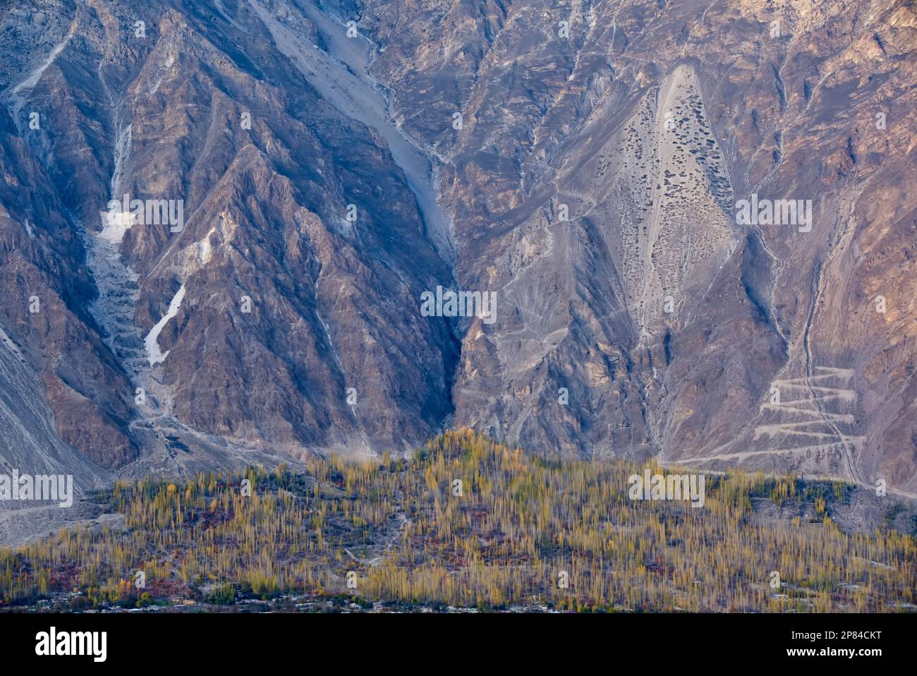 World’s highest-altitude natural cricket stadium built in Pakistan’s ...