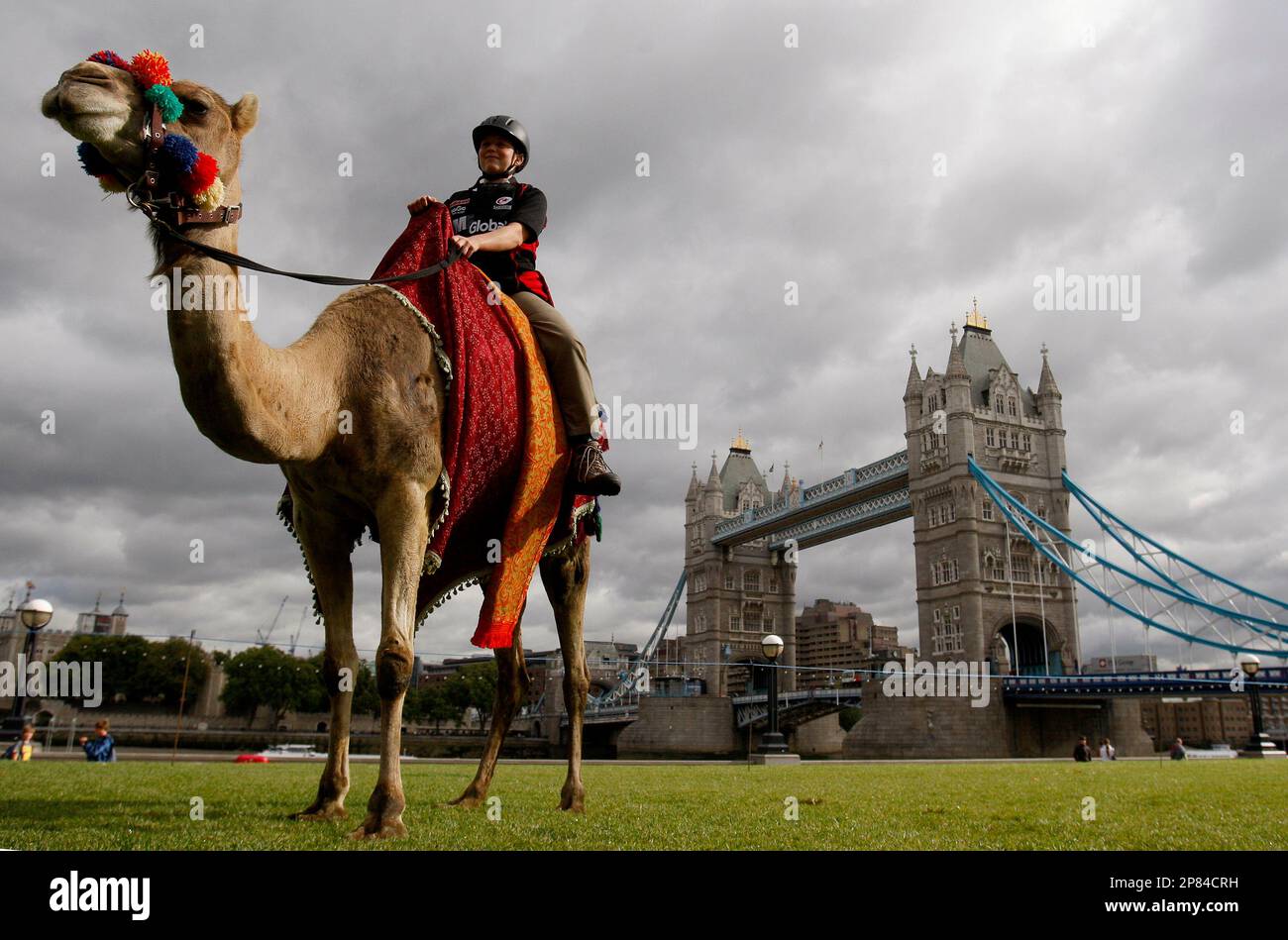 A camel is seen prior to a race, as Tower Bridge is seen in the ...