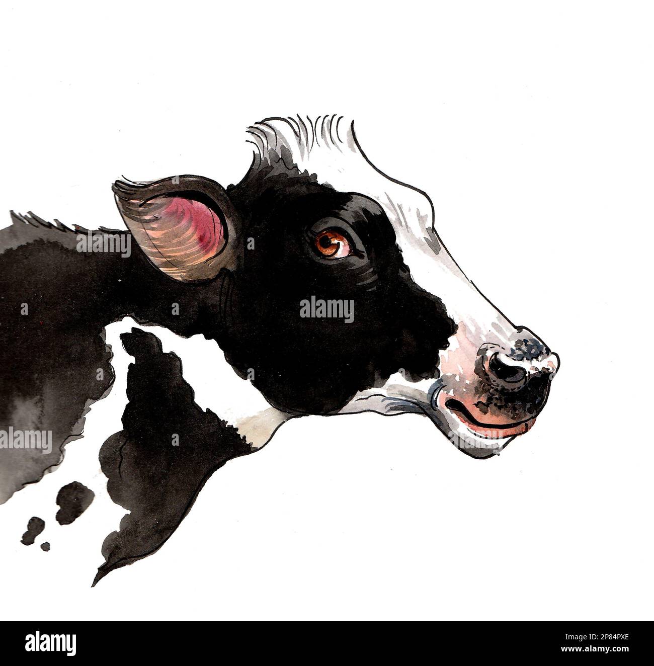 The dairy cow painting hi-res stock photography and images - Alamy