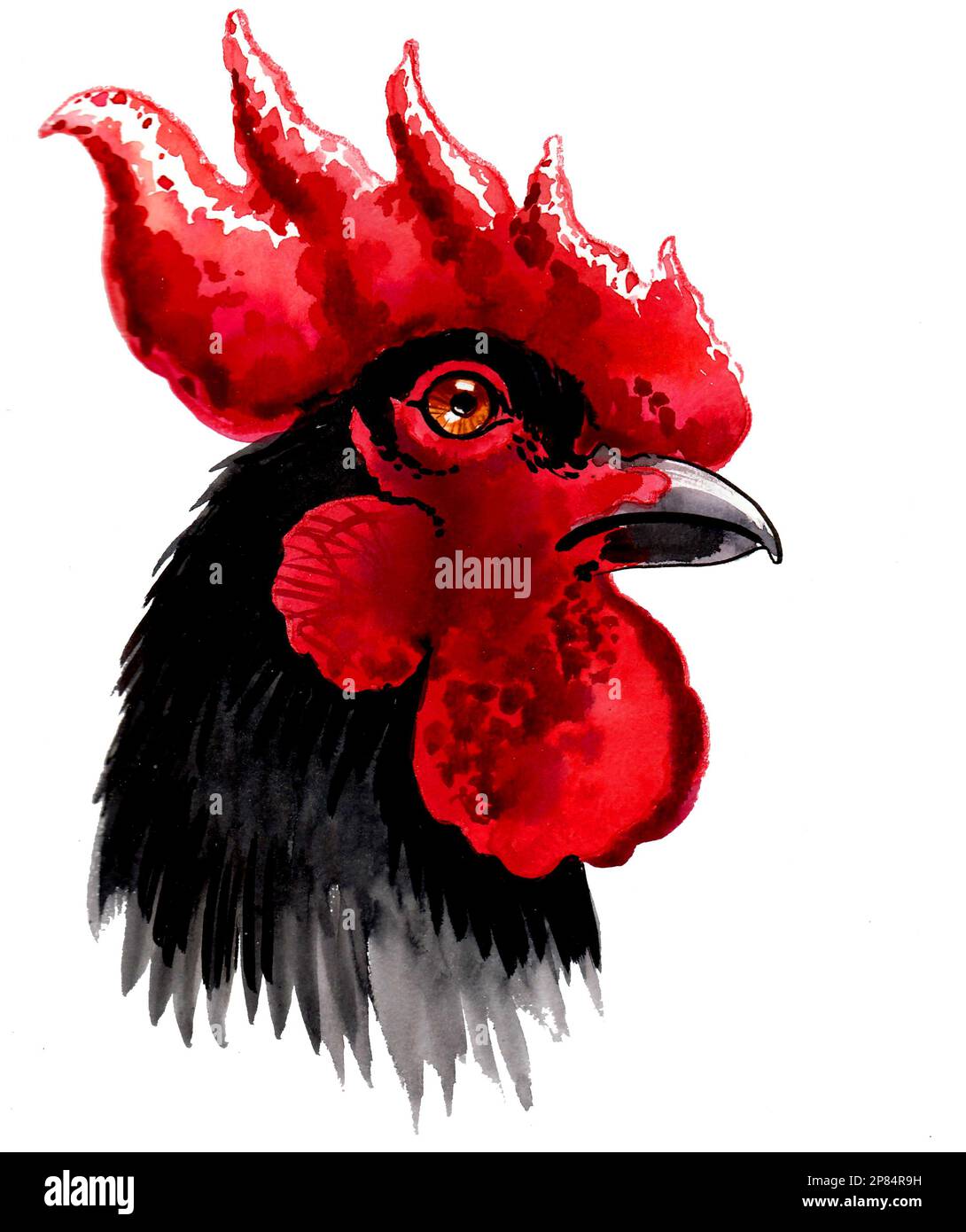 Black Rooster Cartoon
