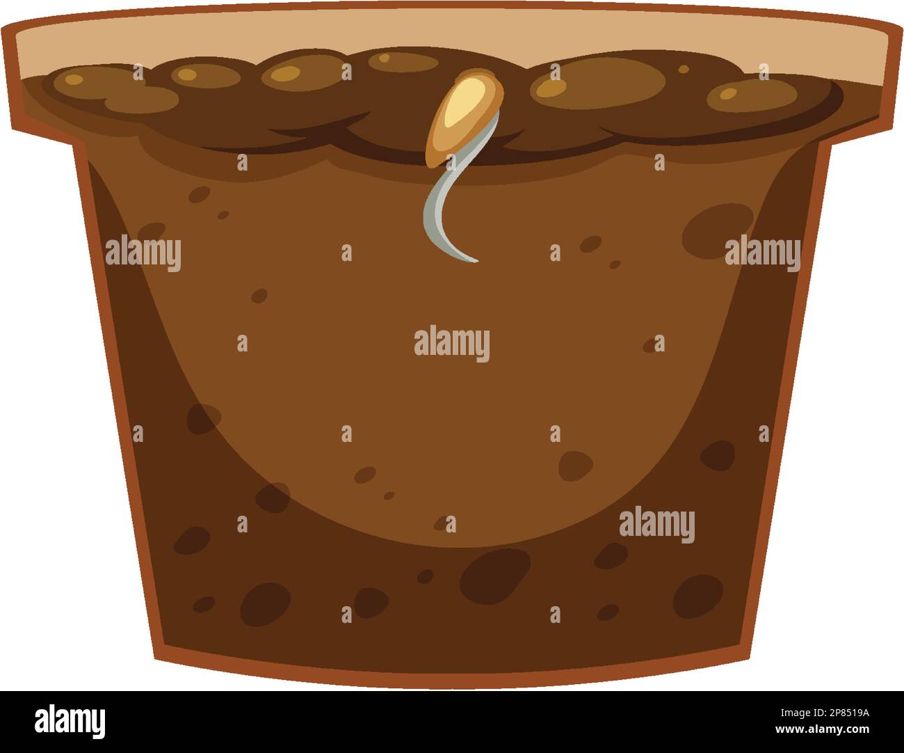 Seed germination process concept illustration Stock Vector Image & Art - Alamy