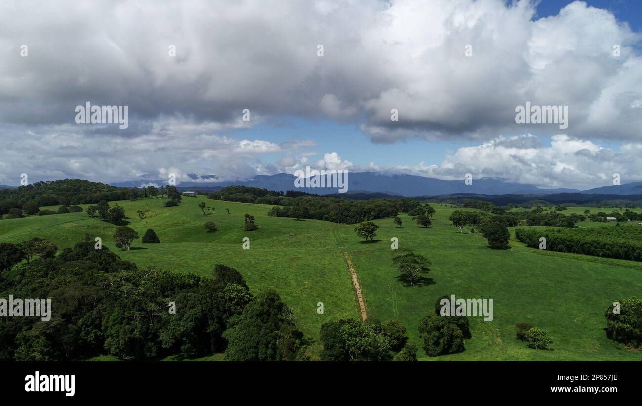 Aerial view of lush green fields with a mountain backdrop Stock Photo ...