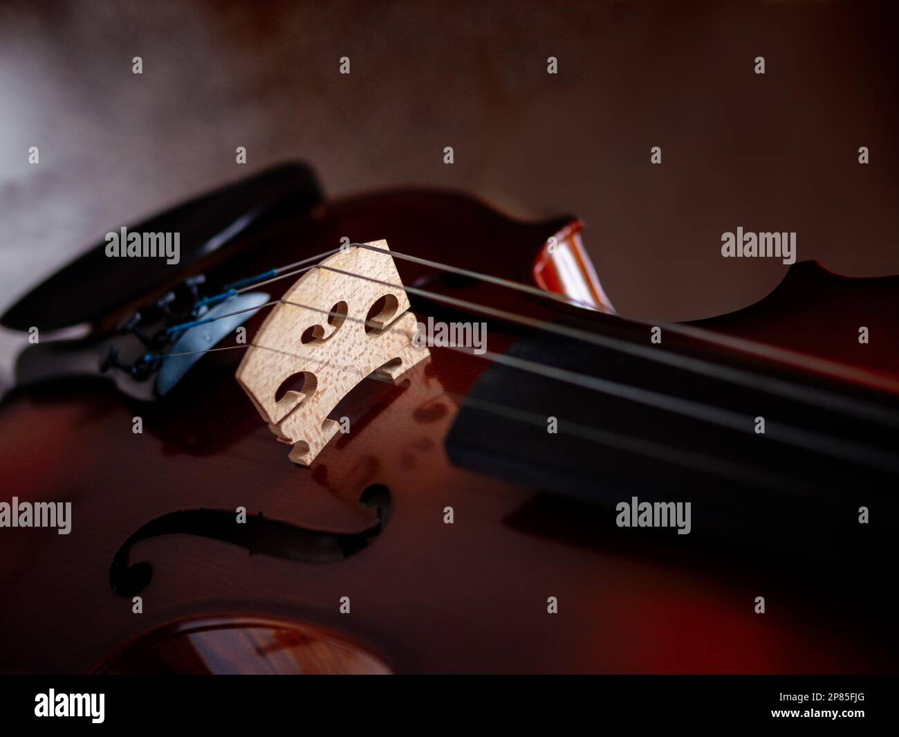 Violin bridge hi-res stock photography and images - Alamy