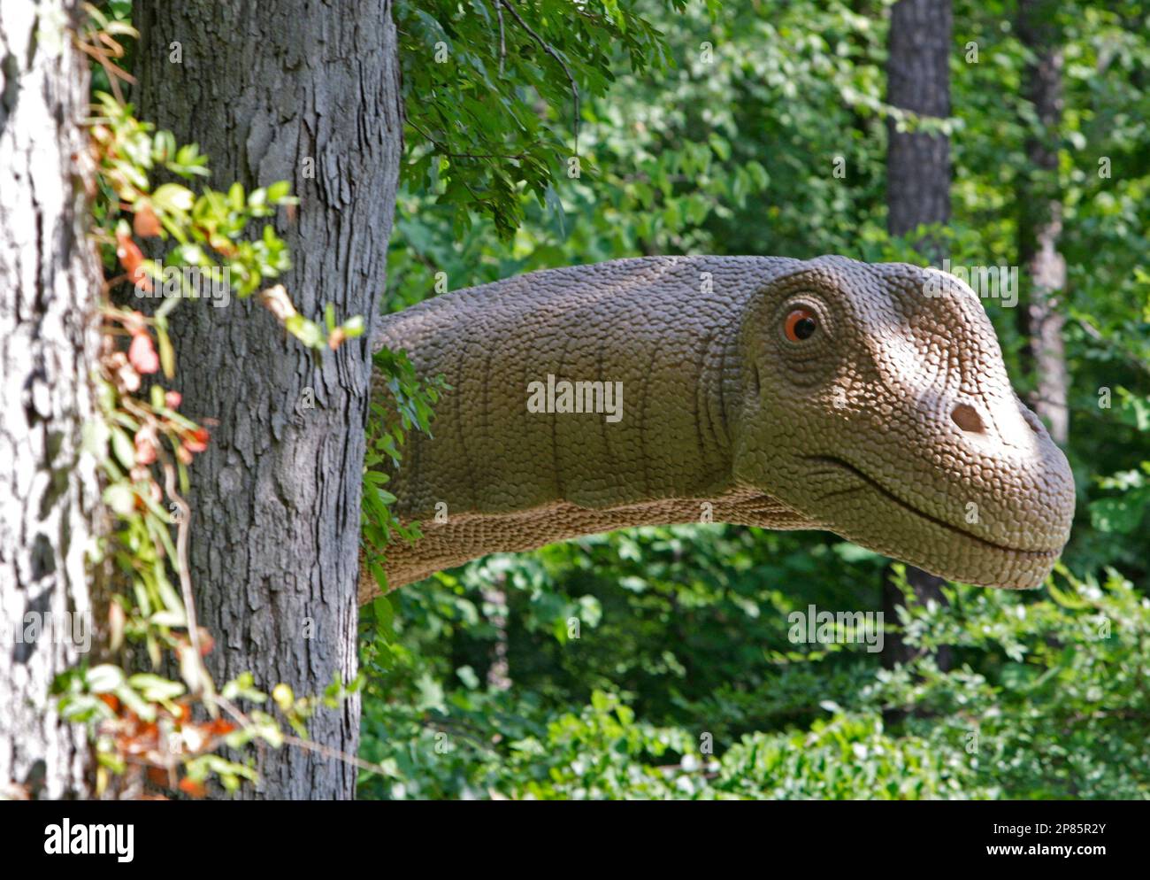 In this July 30, 2009 photo, an Alamosaurus peers from around a tree on ...