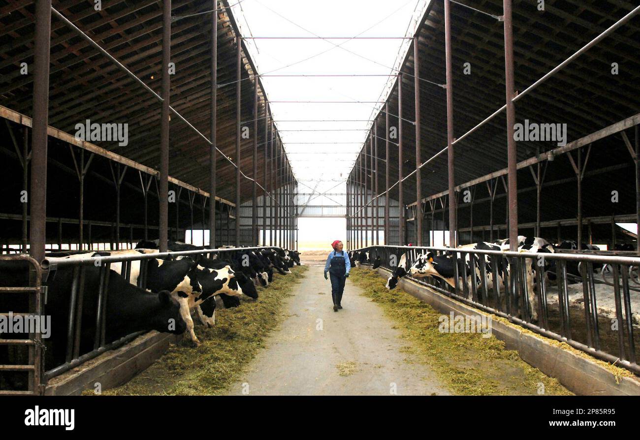 In this July 30, 2009 photo, Marilyn Hedstrom walks through the barn ...