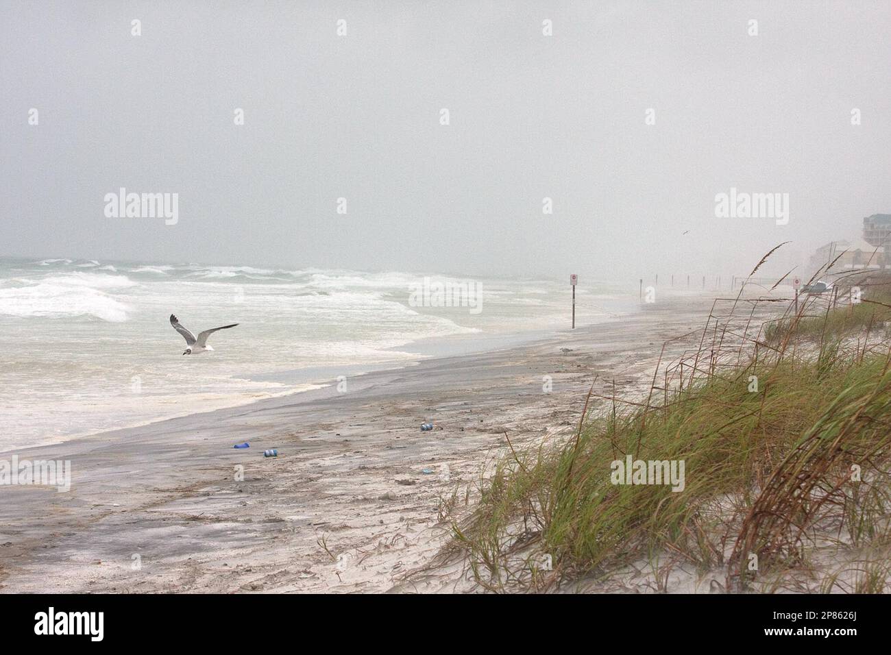 The erosion is from the high tides of Tropical Storm Claudette is quite ...