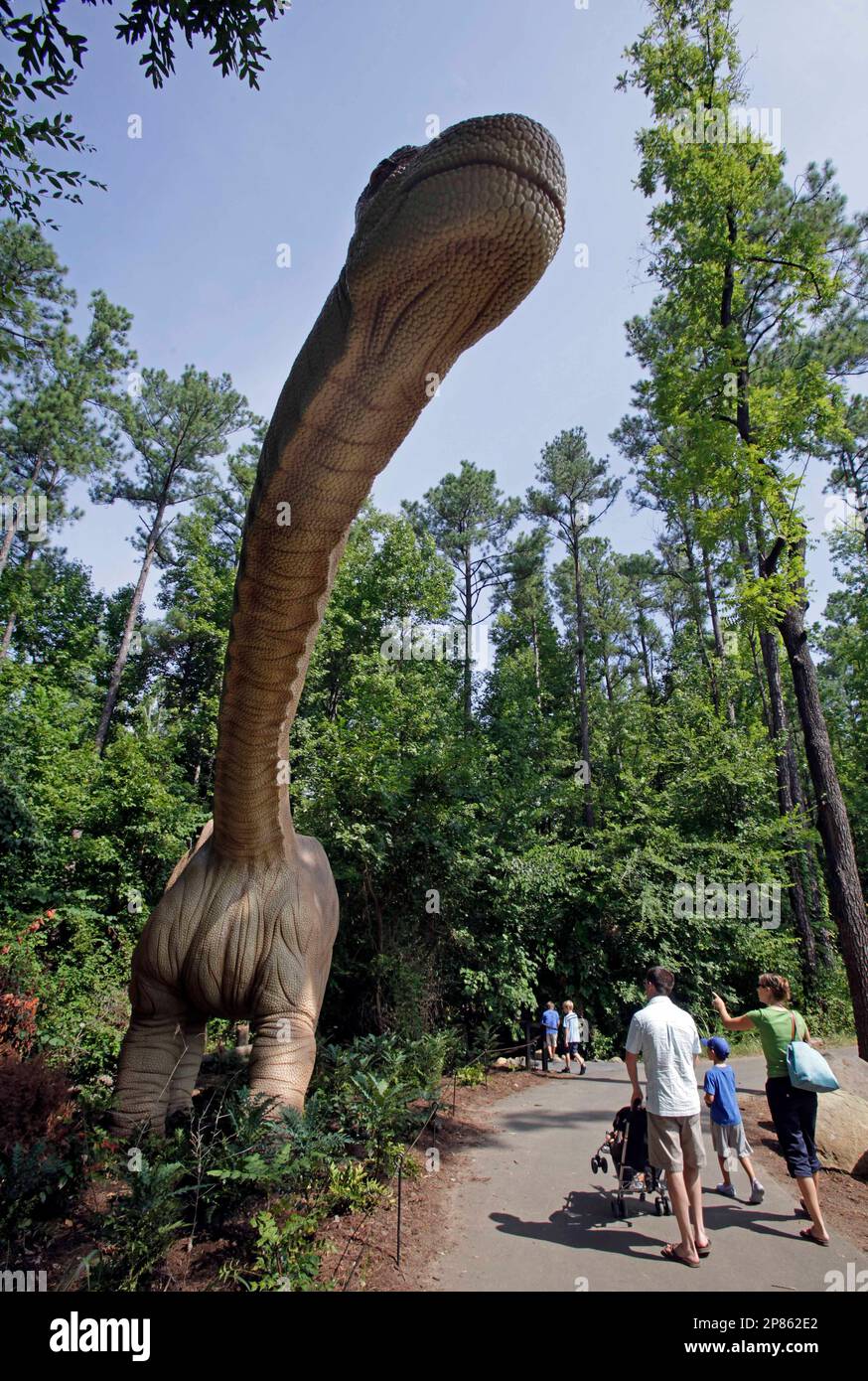 In this July 30, 2009 photo, an Alamosaurus towers over the Dinosaur ...