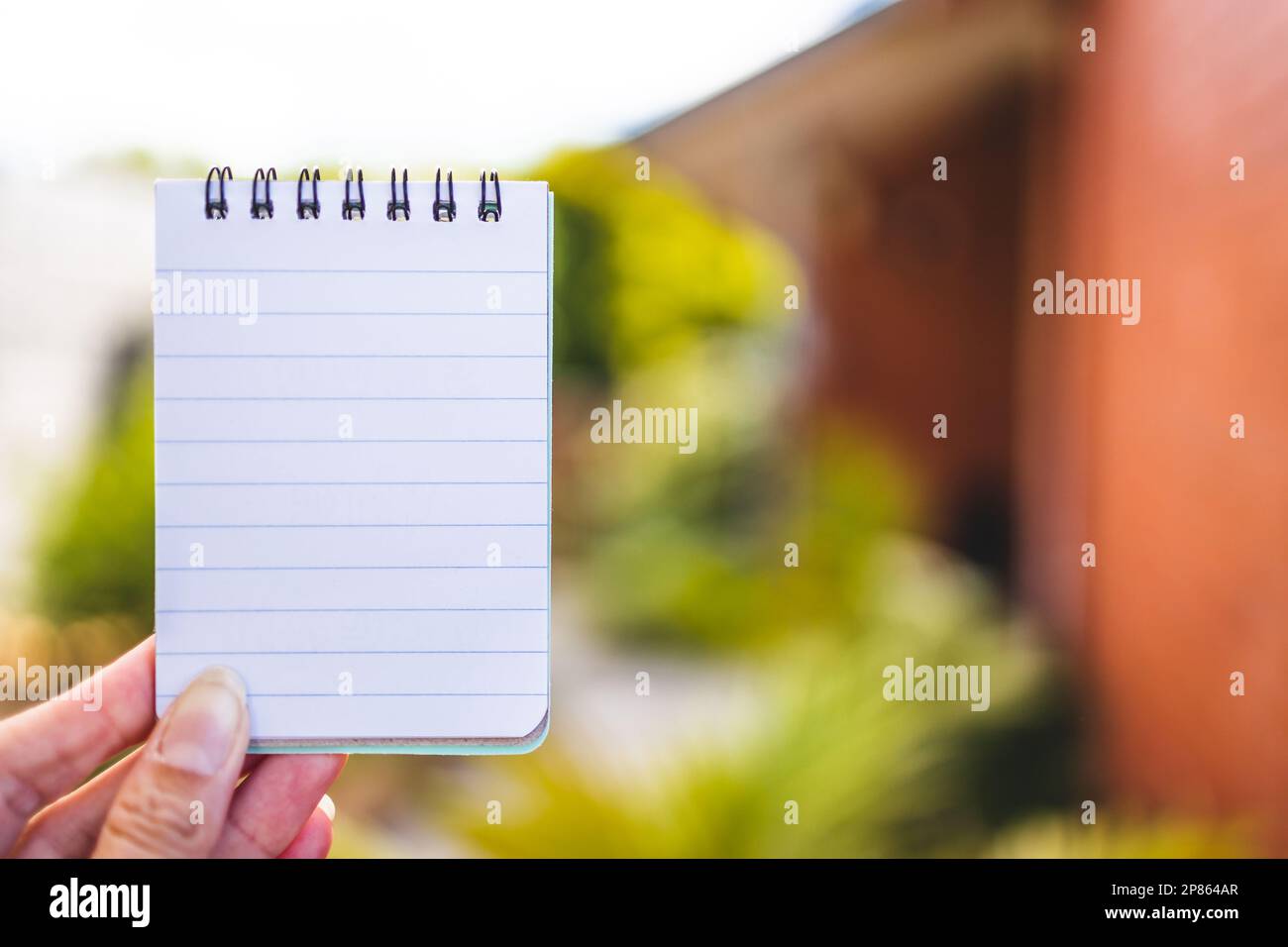 hand holding small blackboard with blank copy space in front of stylish ...