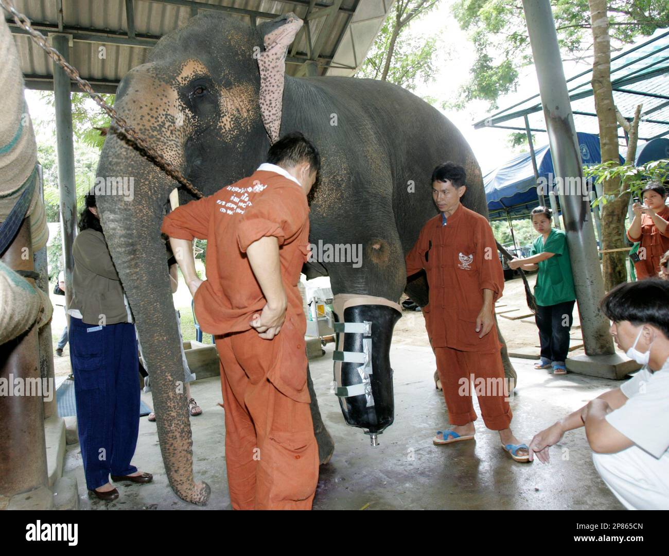 An official from Protheses Foundation, right, looks on after fitting an ...