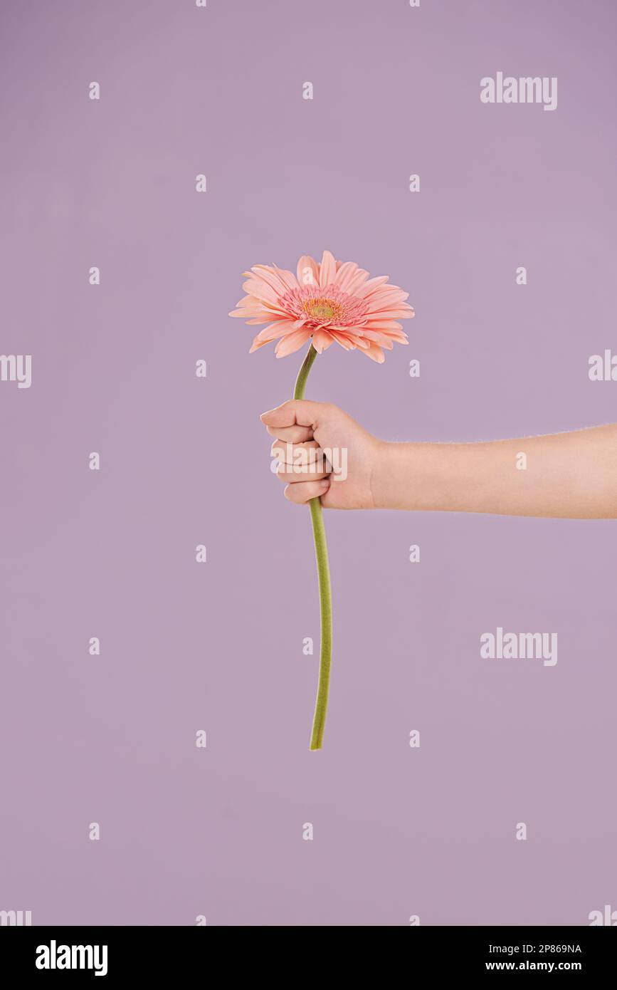 Let me be your reason to smile. A little girls hand presenting a flower ...