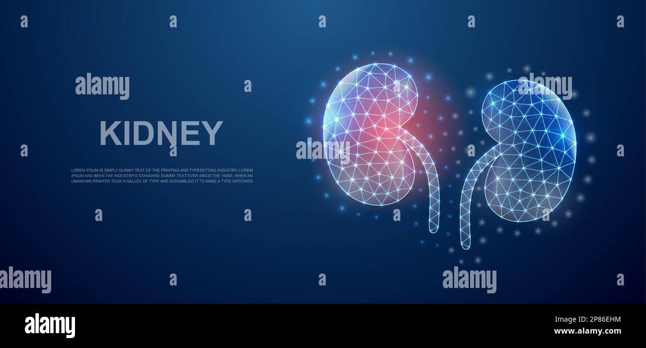 Kidneys 3d low poly symbol with pain center for landing page template ...