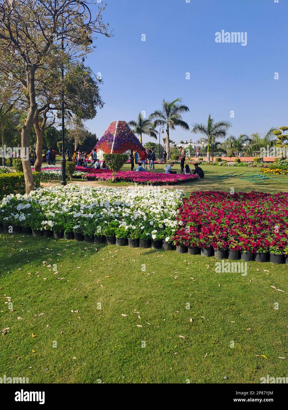 Colorful spring flowers blooming at Central Park, Connaught Place, New ...