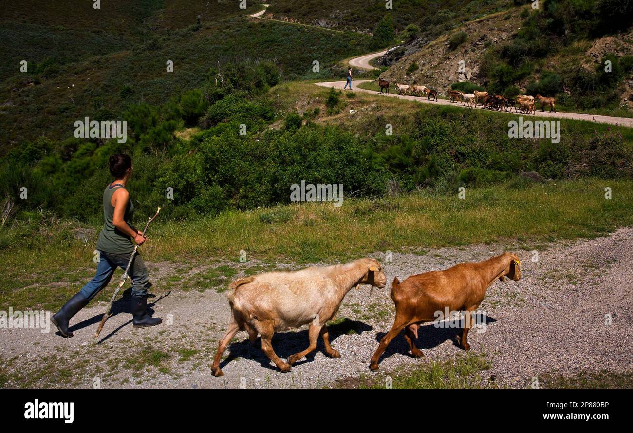 In this June 15, 2009 photo, Talia Kahn-Kravis of Brooklyn, left, and ...