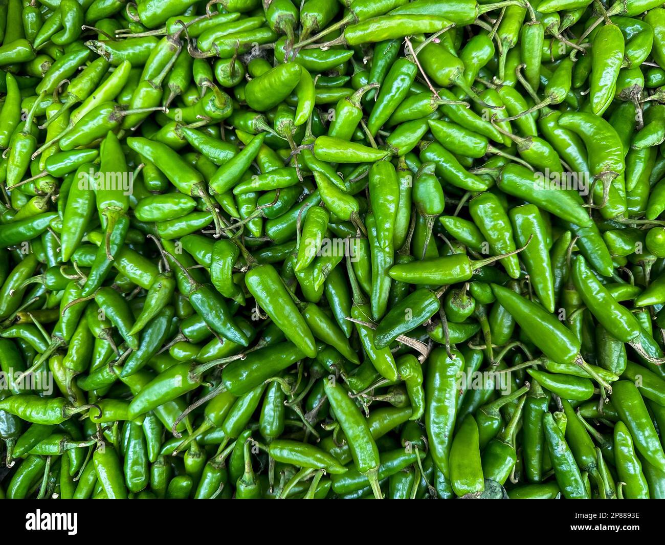 Green Chillies Galway at Caitlin Kelley blog Green Chillies Galway at Caitlin Kelley blog