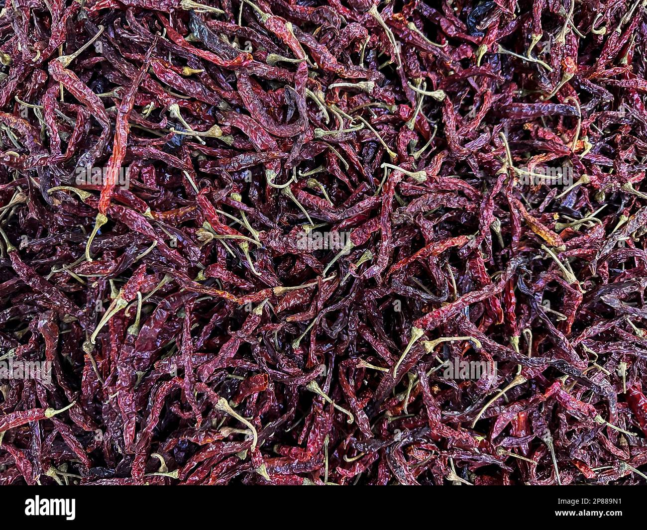 Dry Red Chilli, Red Mirchi, Dried Red Chilies Top View, Lavangi Stock ...