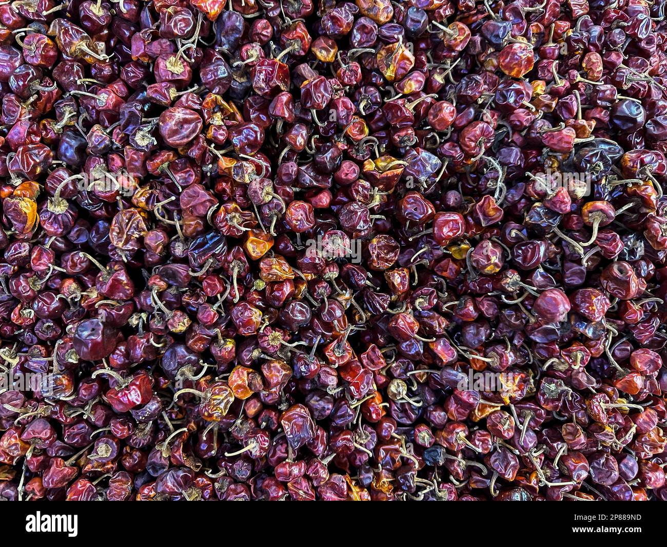 Round red chili, Small round shaped dried red chilies. Also known as ...