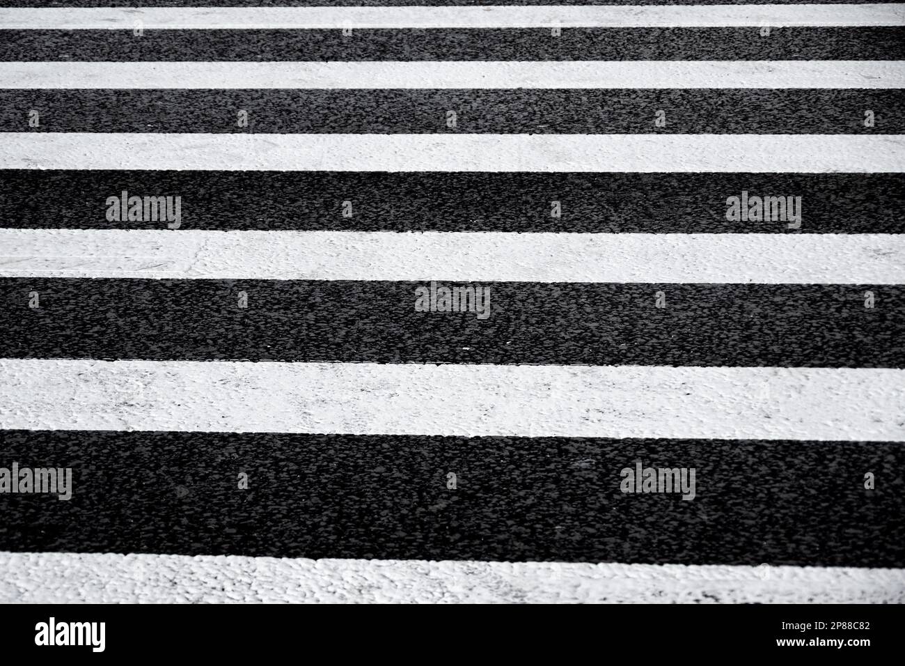 Crosswalk surface background,top view. pedestrian crossing, white ...