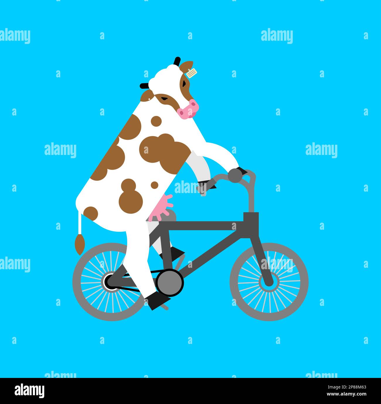 Cow on bike isolated. Vector illustration Stock Vector Image & Art - Alamy