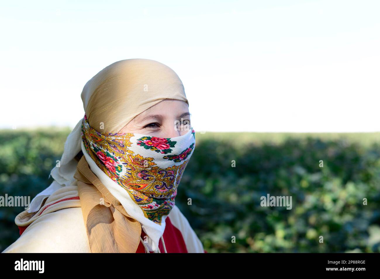Uzbek women working in the cotton fields in central Uzbekistan Stock ...