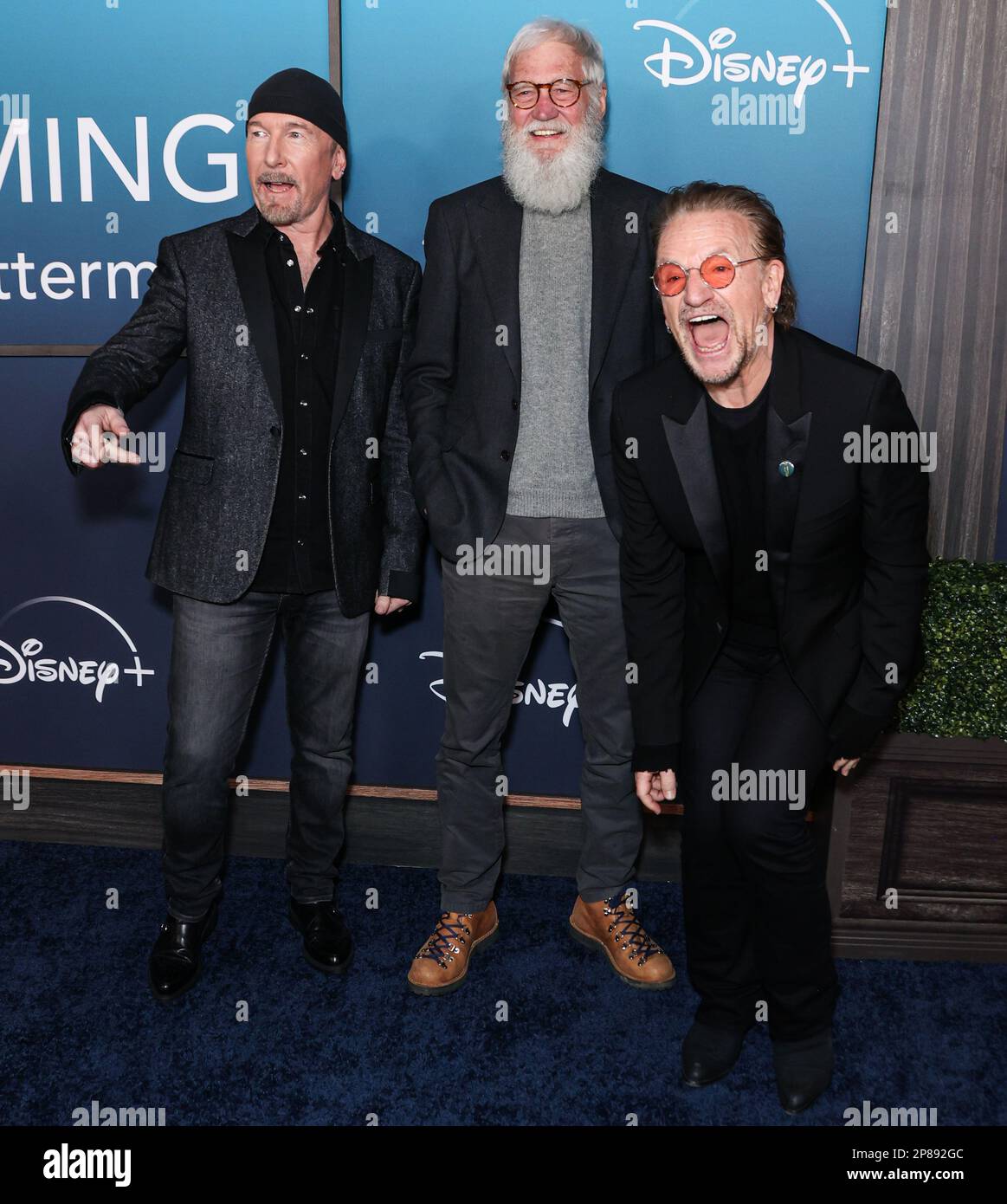 LOS ANGELES, CALIFORNIA, USA - MARCH 08: Irish musician, singer and ...
