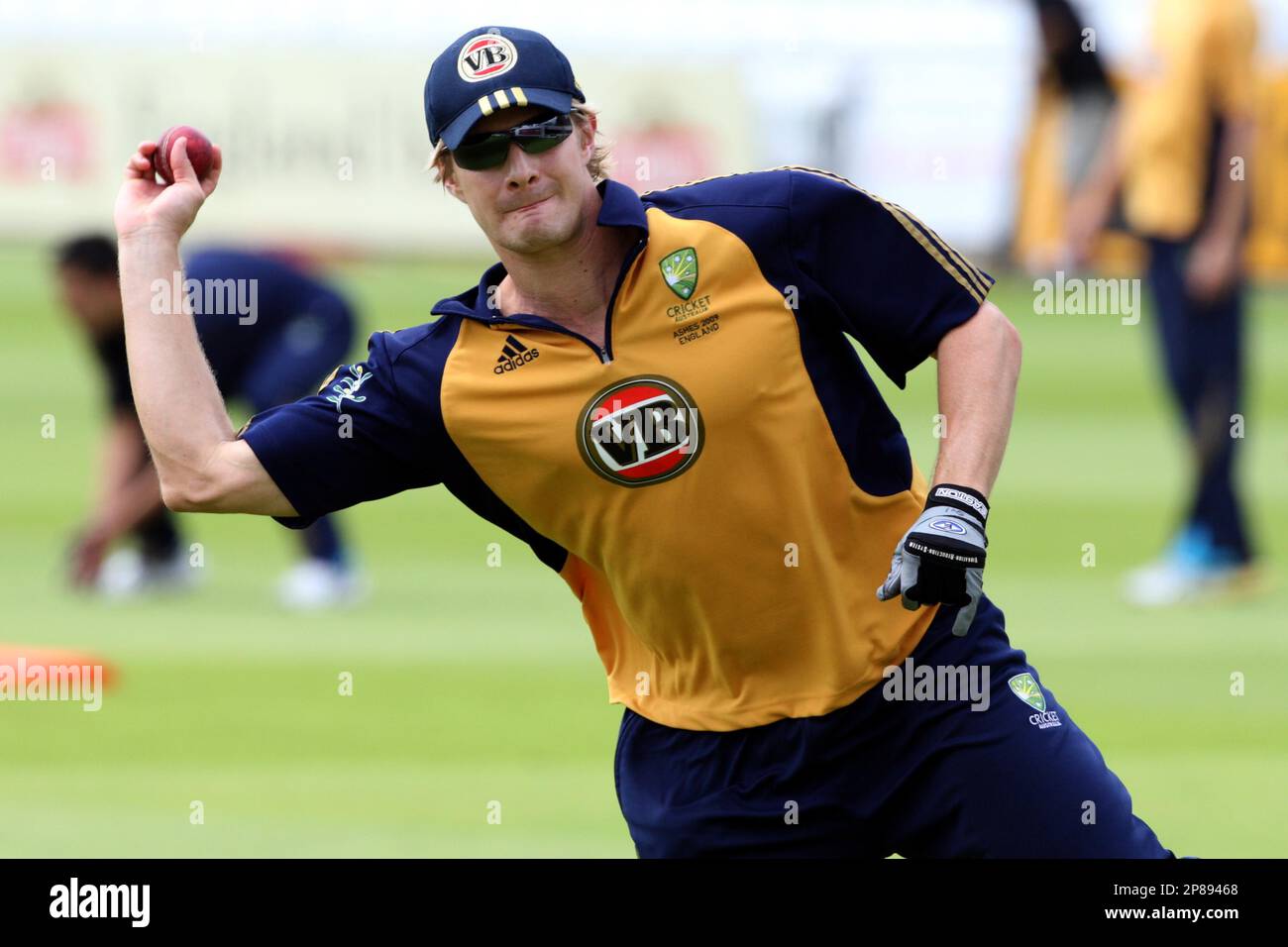 Shane Watson Cricketer
