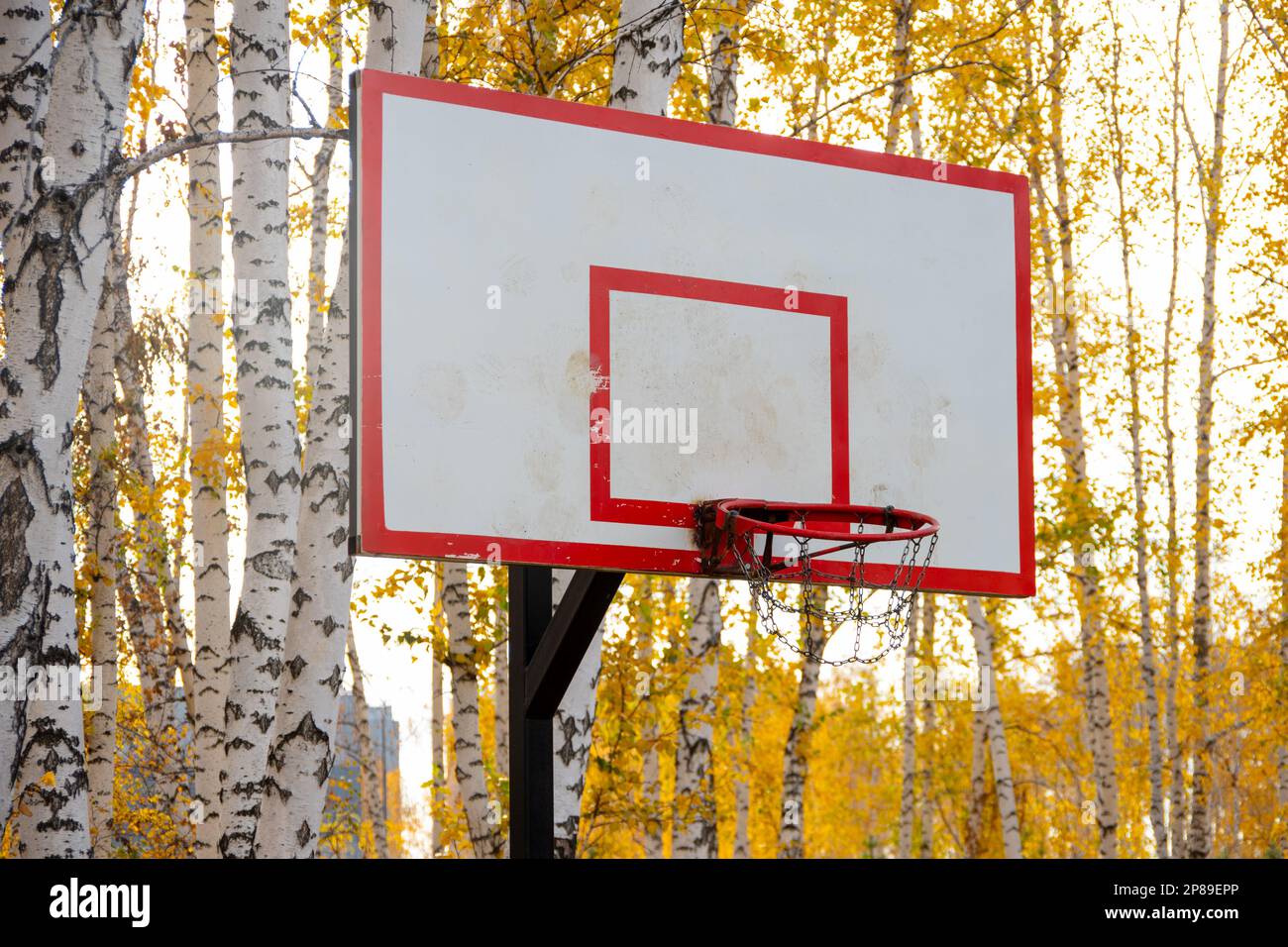 Outdoor sports ground. White Basketball Shield with a red ring in the ...