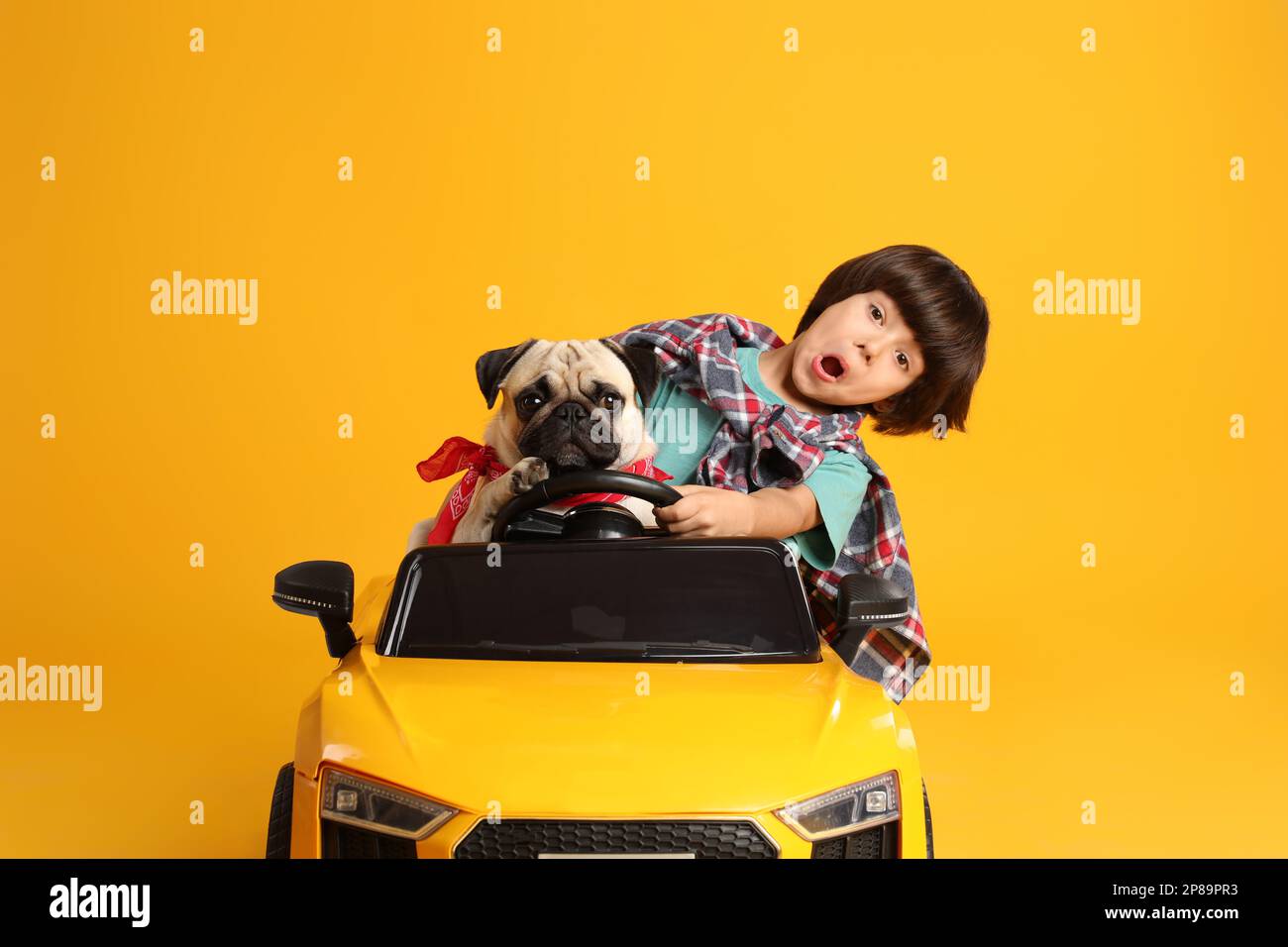 Little boy with his dog in toy car on yellow background Stock Photo - Alamy