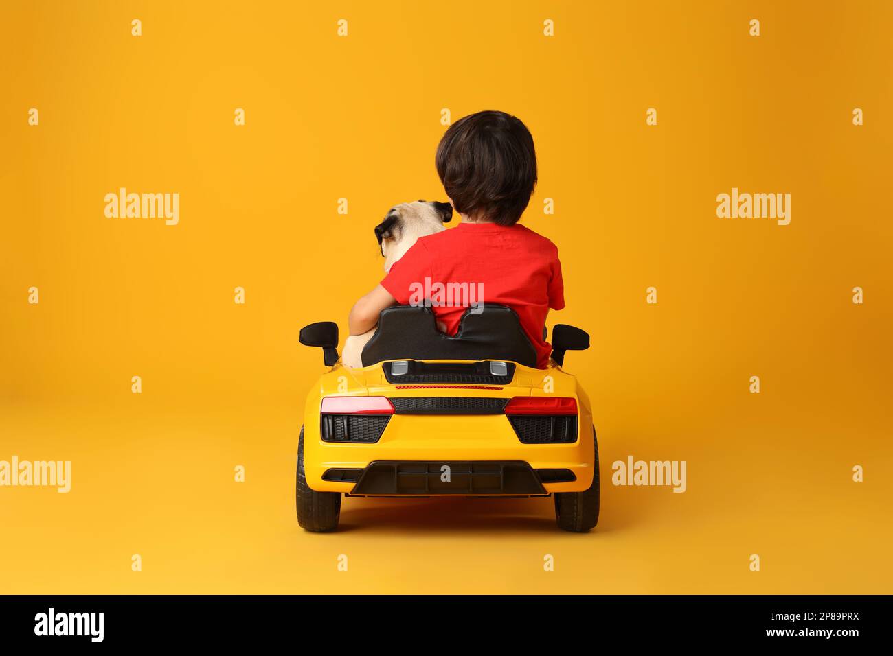 Little boy with his dog in toy car on yellow background, back view ...