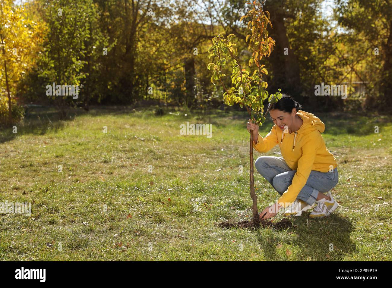 Woman planting young tree hi-res stock photography and images - Alamy