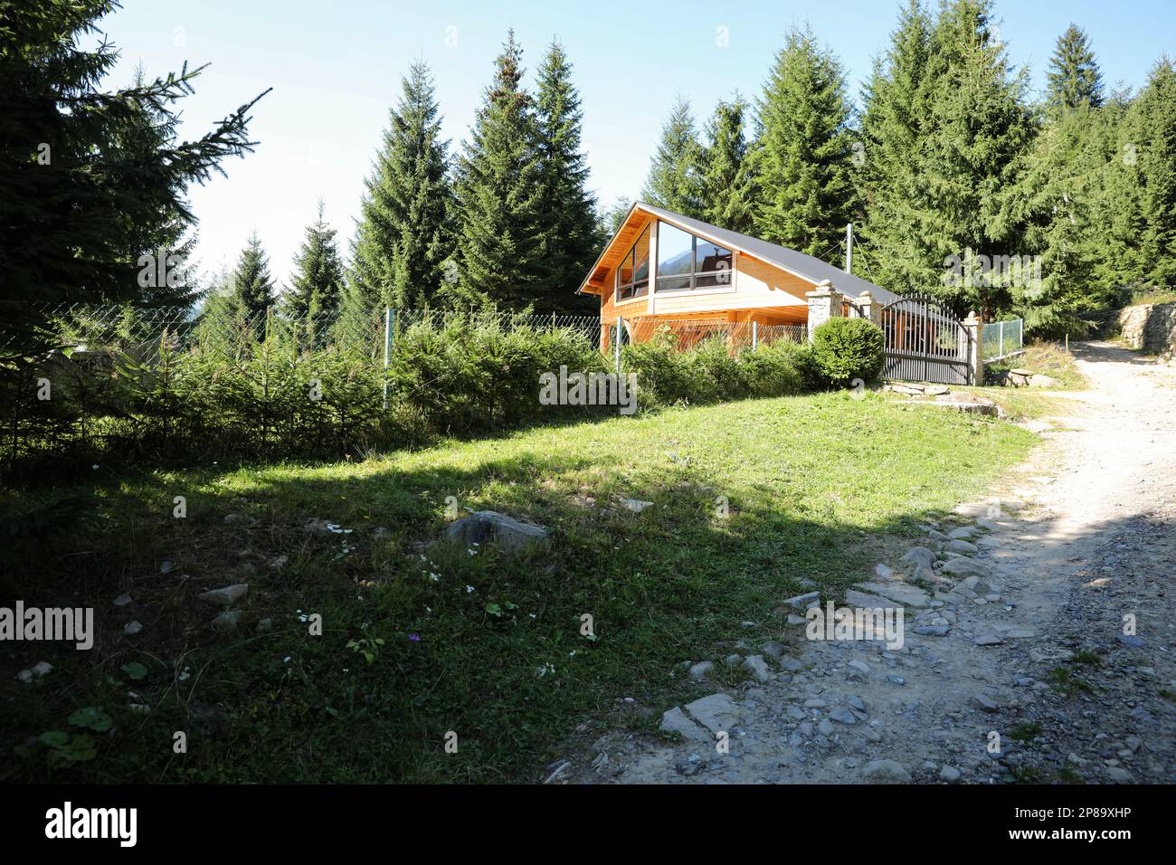 Modern house woods summer hi-res stock photography and images - Alamy