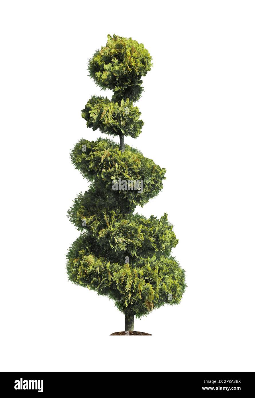Trimmed green Cut Out Stock Images & Pictures - Alamy