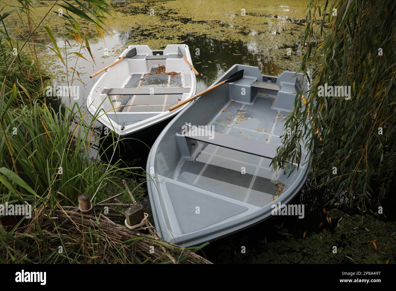 Modern boats with wooden oars on lake Stock Photo - Alamy