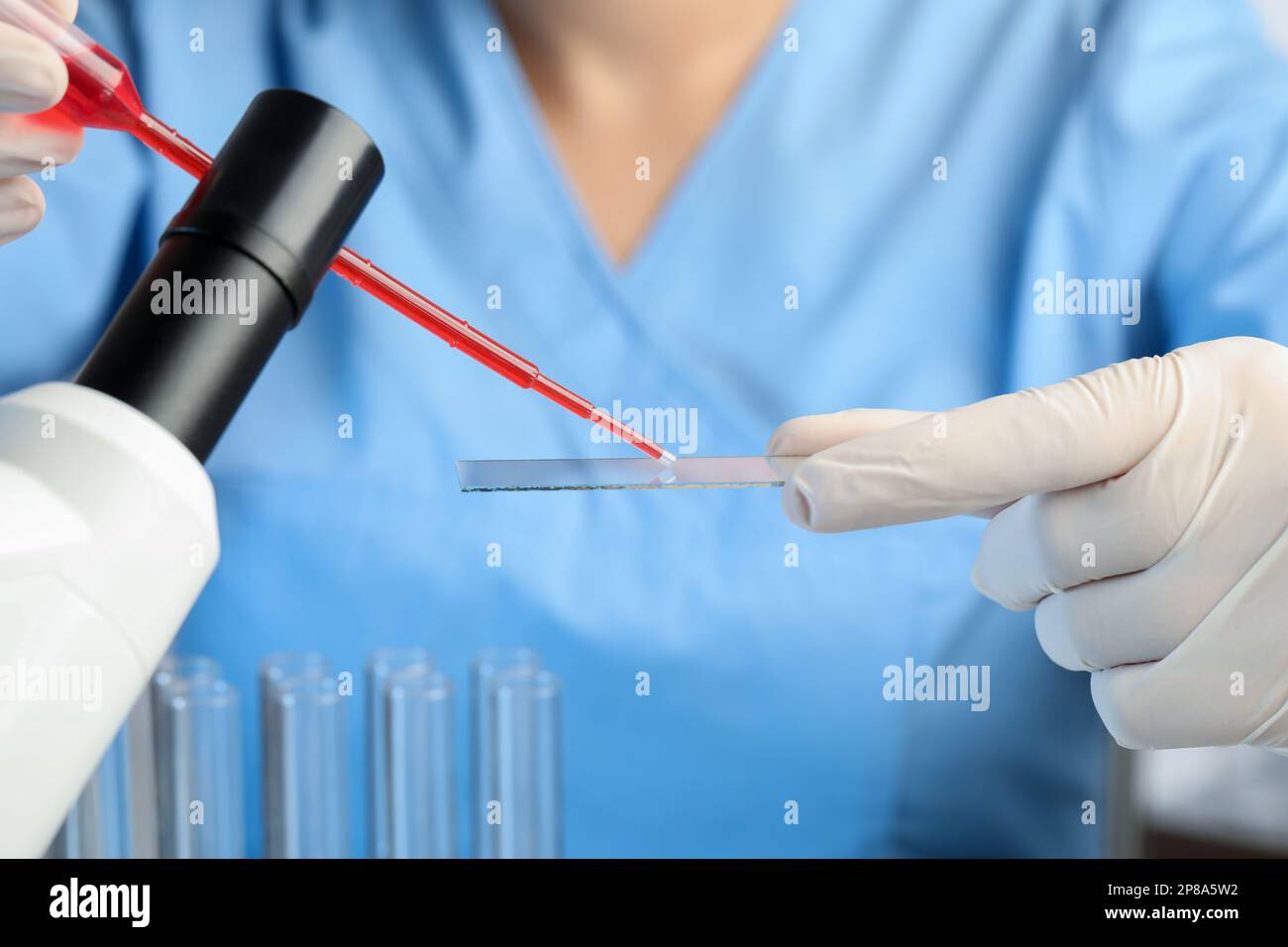Scientist dripping sample of red liquid onto microscope slide in ...