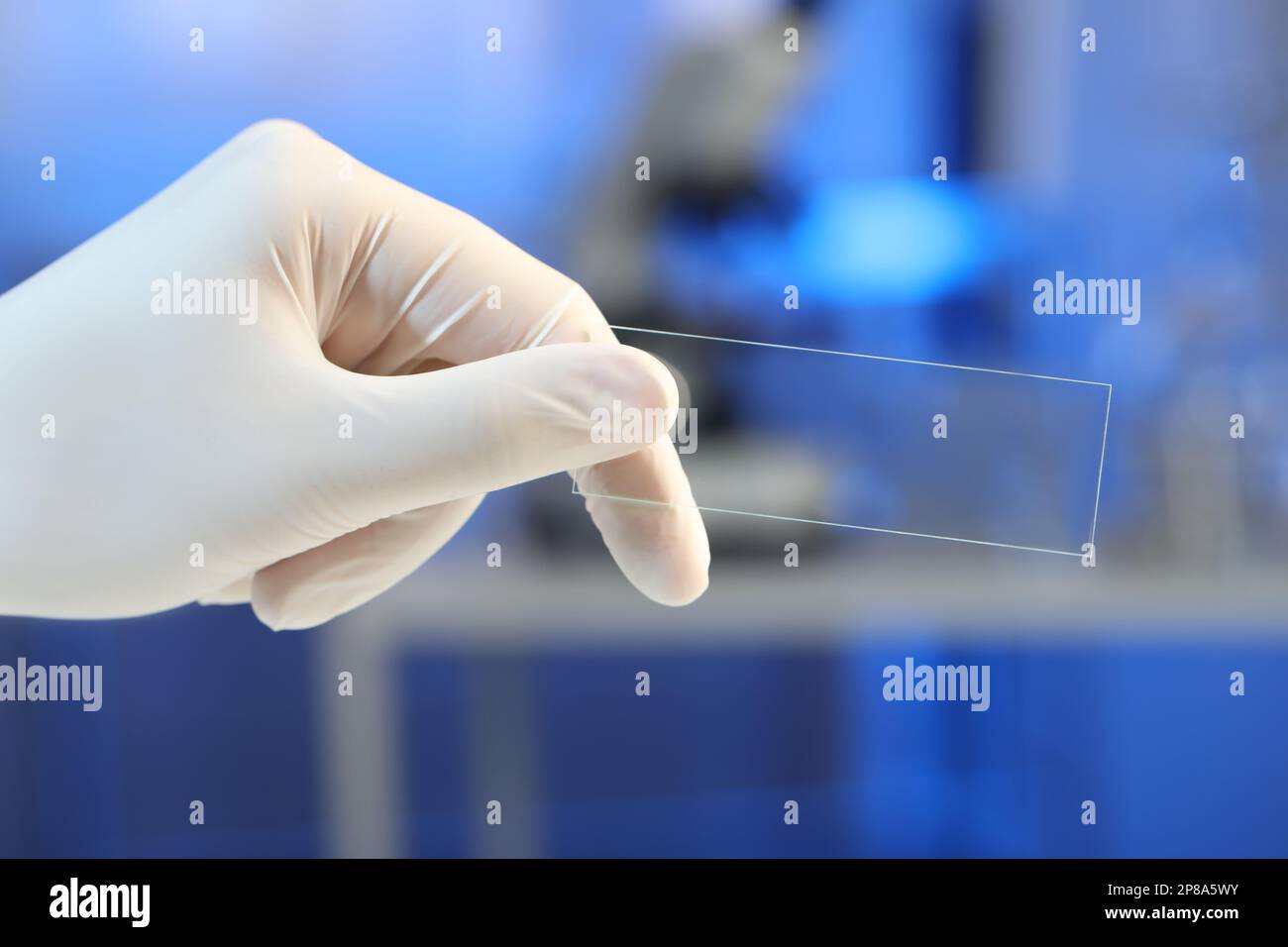 Scientist holding clean glass microscope slide in laboratory, closeup ...