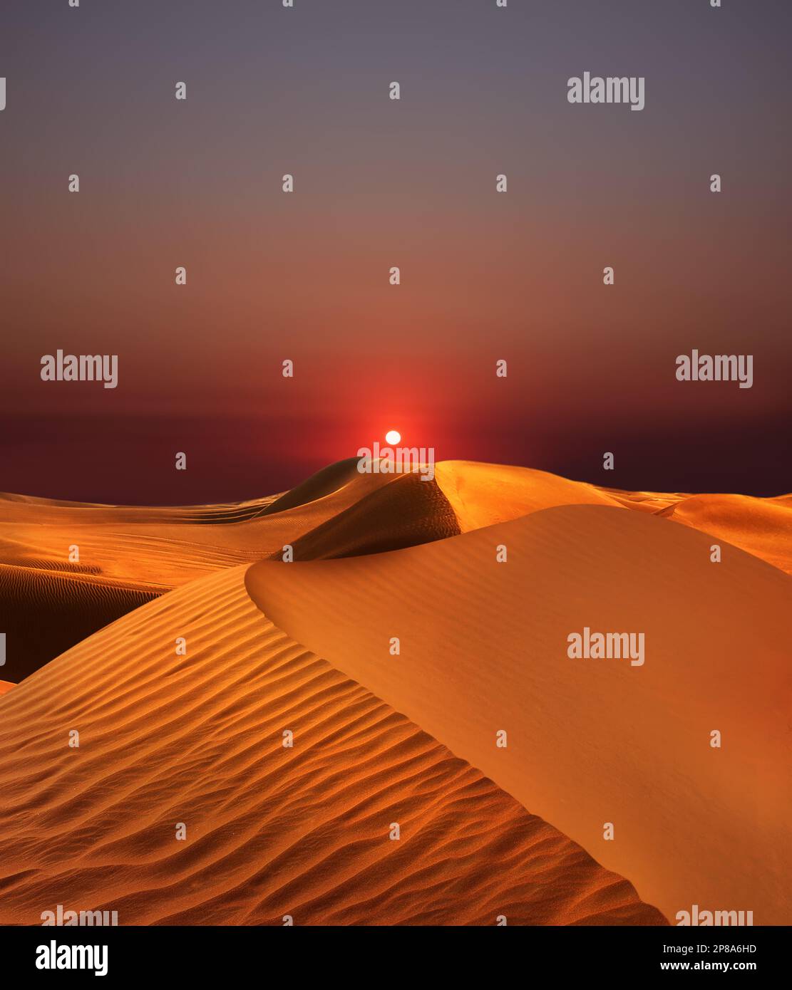 Dubai gold desert safari hi-res stock photography and images - Alamy