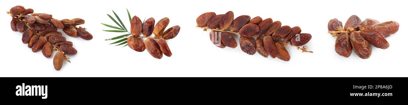 Set with sweet dried dates on white background. Banner design Stock ...