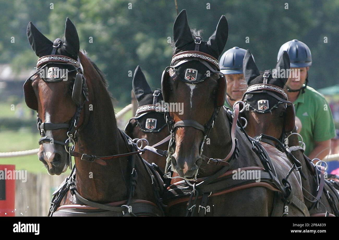 Driver Christoph Sandmann from Germany steers his horse team in the ...