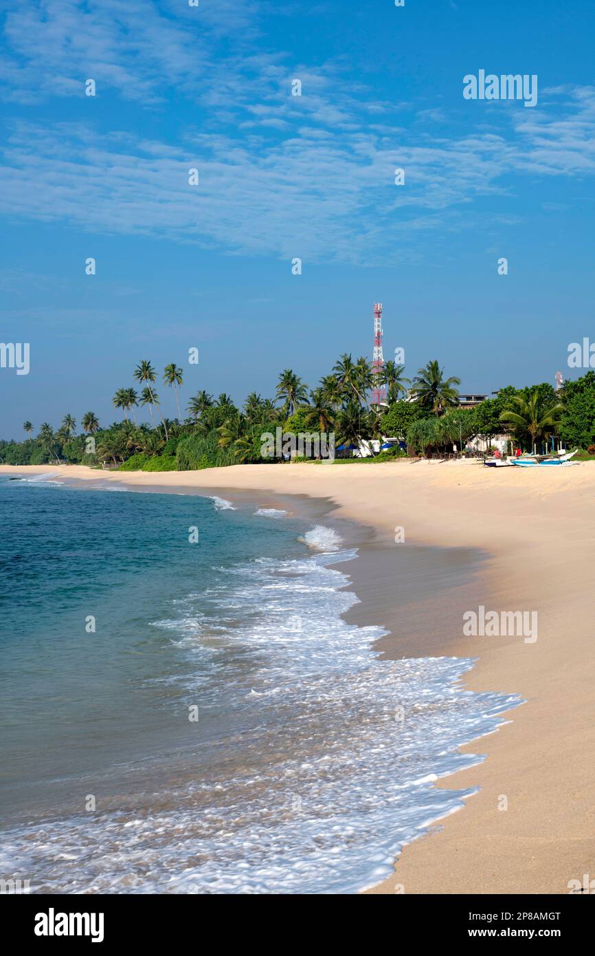 Palmiers sri lanka hi-res stock photography and images - Alamy