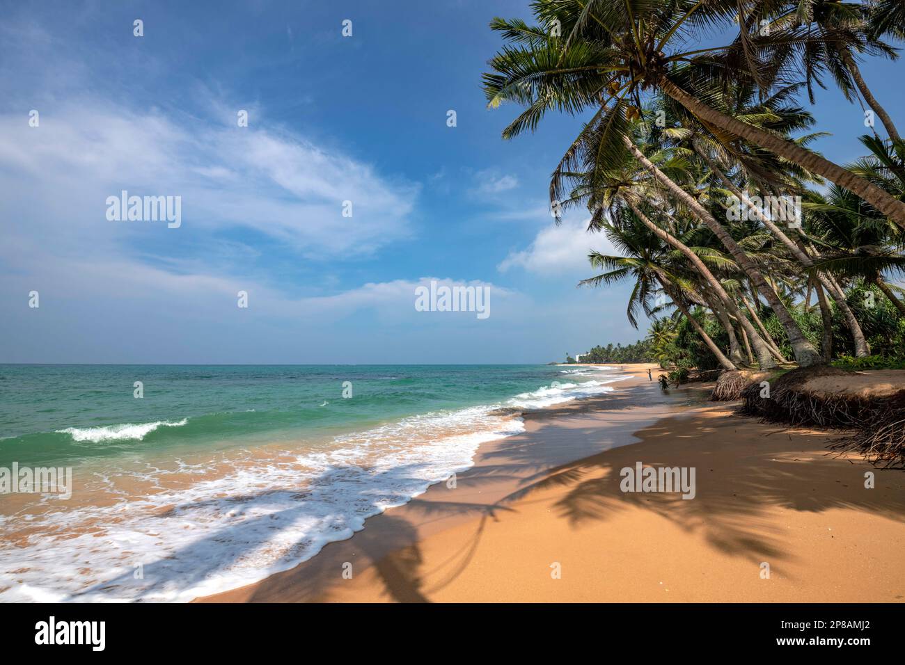 Sri Lanka, Southern Province, Sud, Süd, South, océan, Ozean, ocean ...
