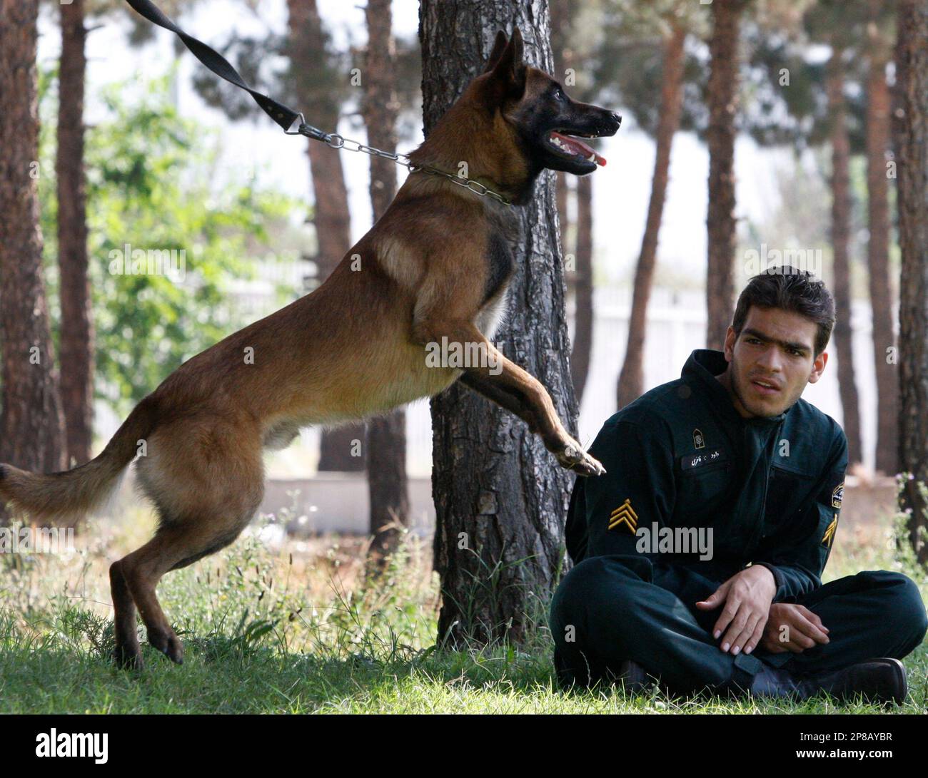 A drug-sniffing dog jumps, as Iranian anti-drug police officer Davoud ...
