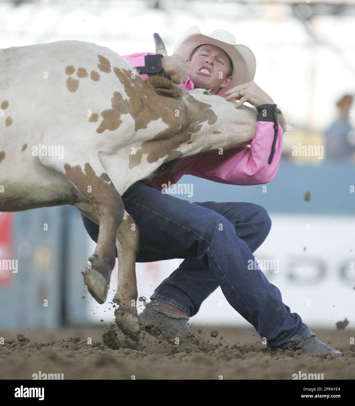 Josh Peek, of Pueblo, Colo., wrestles a steer during the steer ...