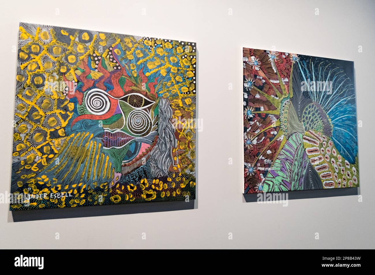 Jaider esbell hi-res stock photography and images - Alamy