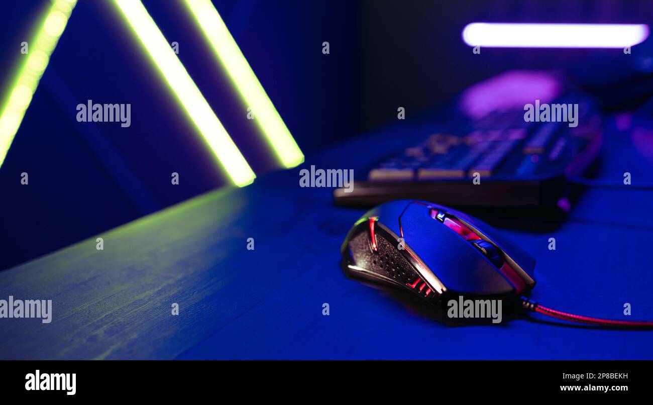 Lolrenaynay Computer Setup