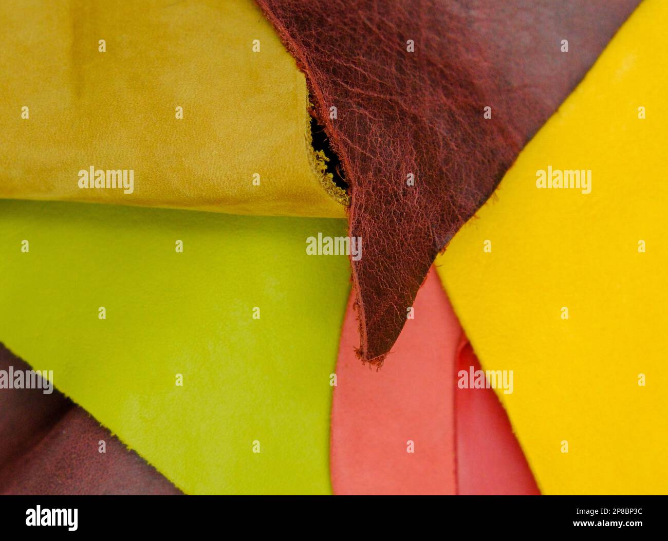 Assorted pieces of skin. Rawhide. Leather pieces. Pieces of colored ...